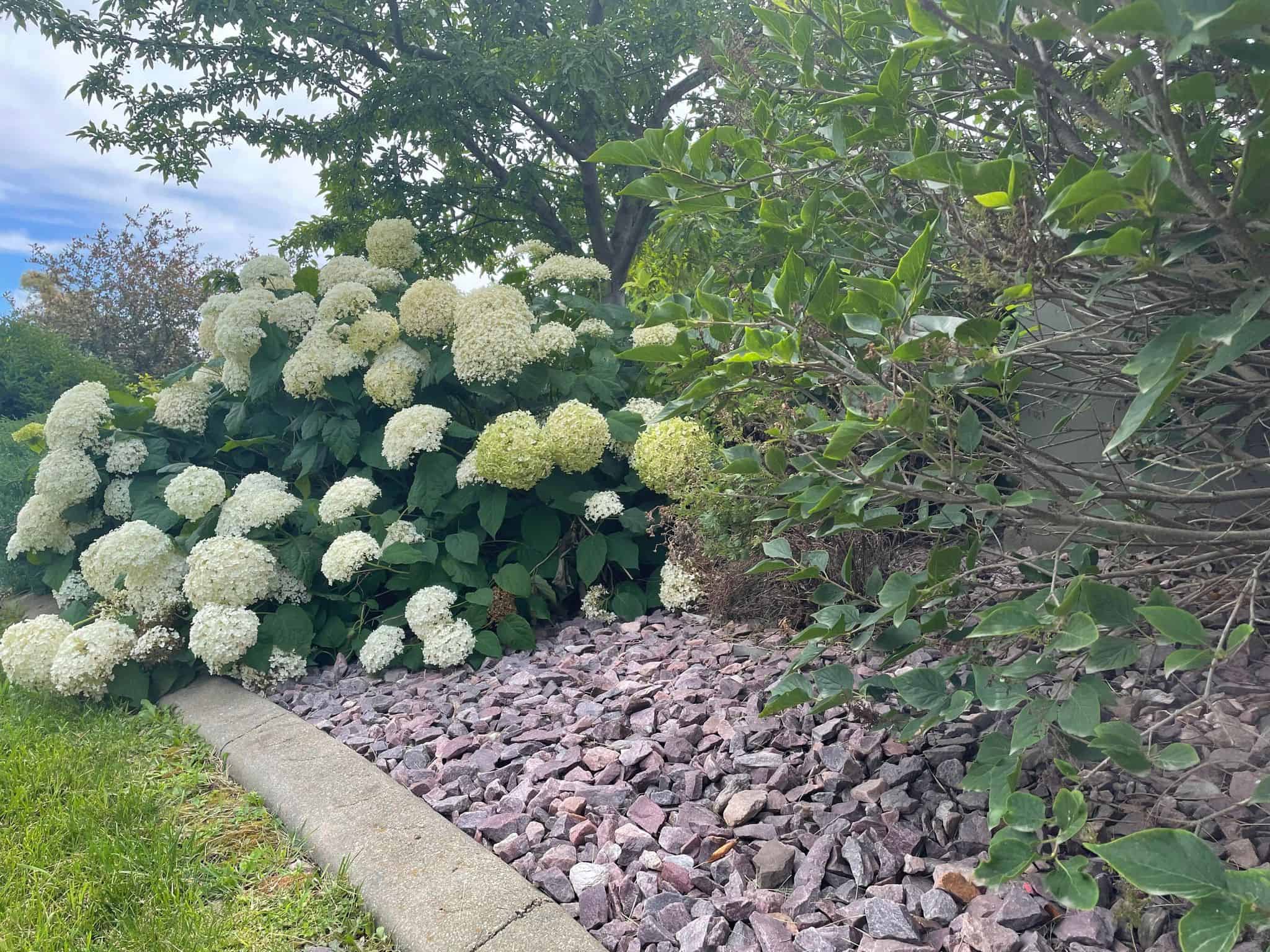 Landscaping Stones | Decorative Rock and Granite | Rocks | Quartizite ...